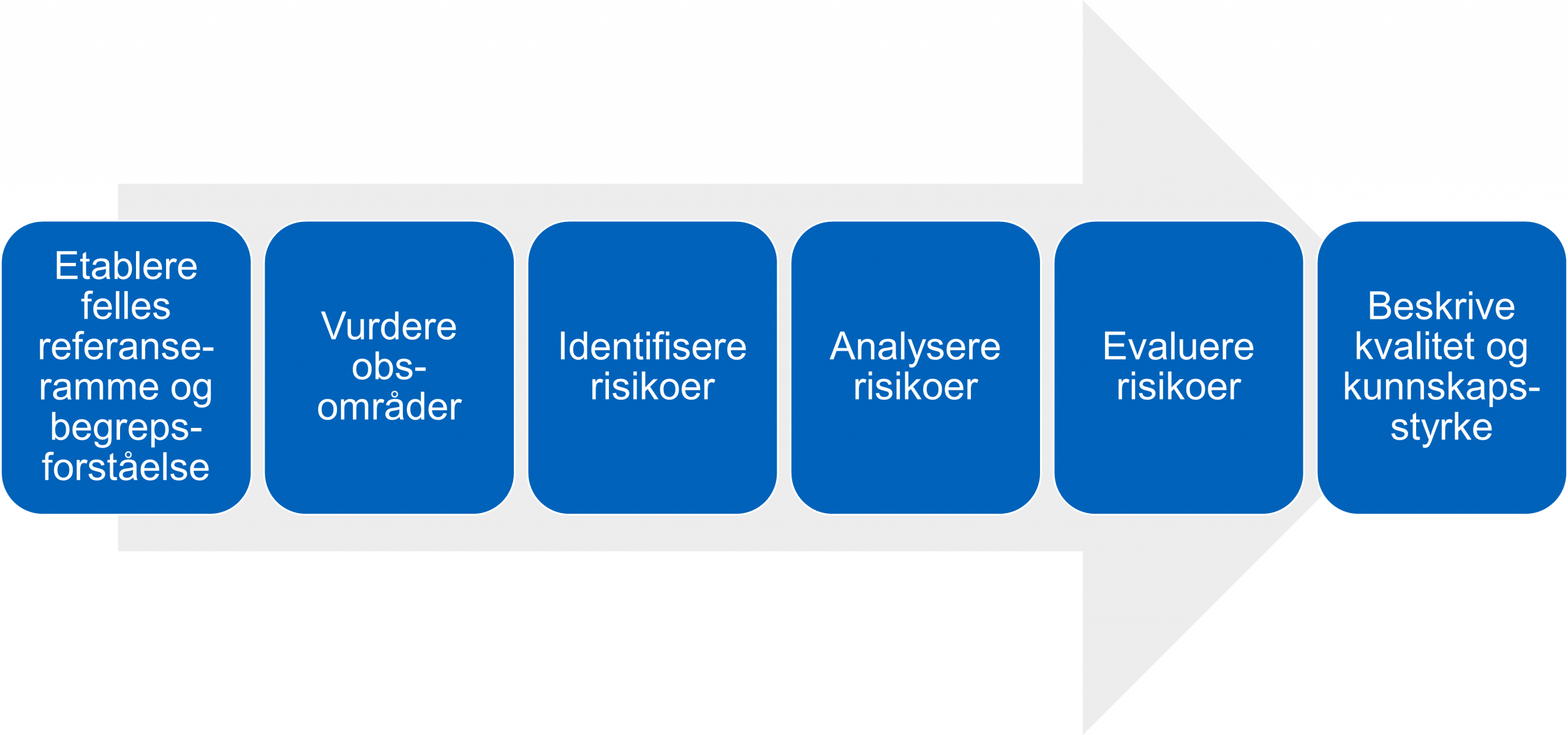 Gjennomføre risikovurdering | Digdir